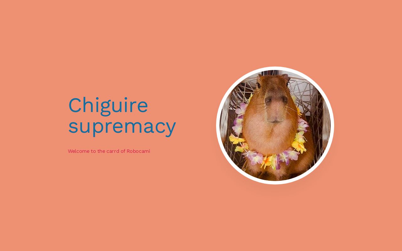 Cami’s Capybara Beach